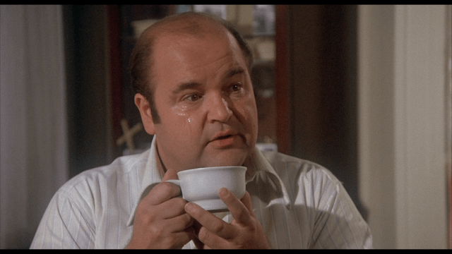 Fatso [Review] | AndersonVision