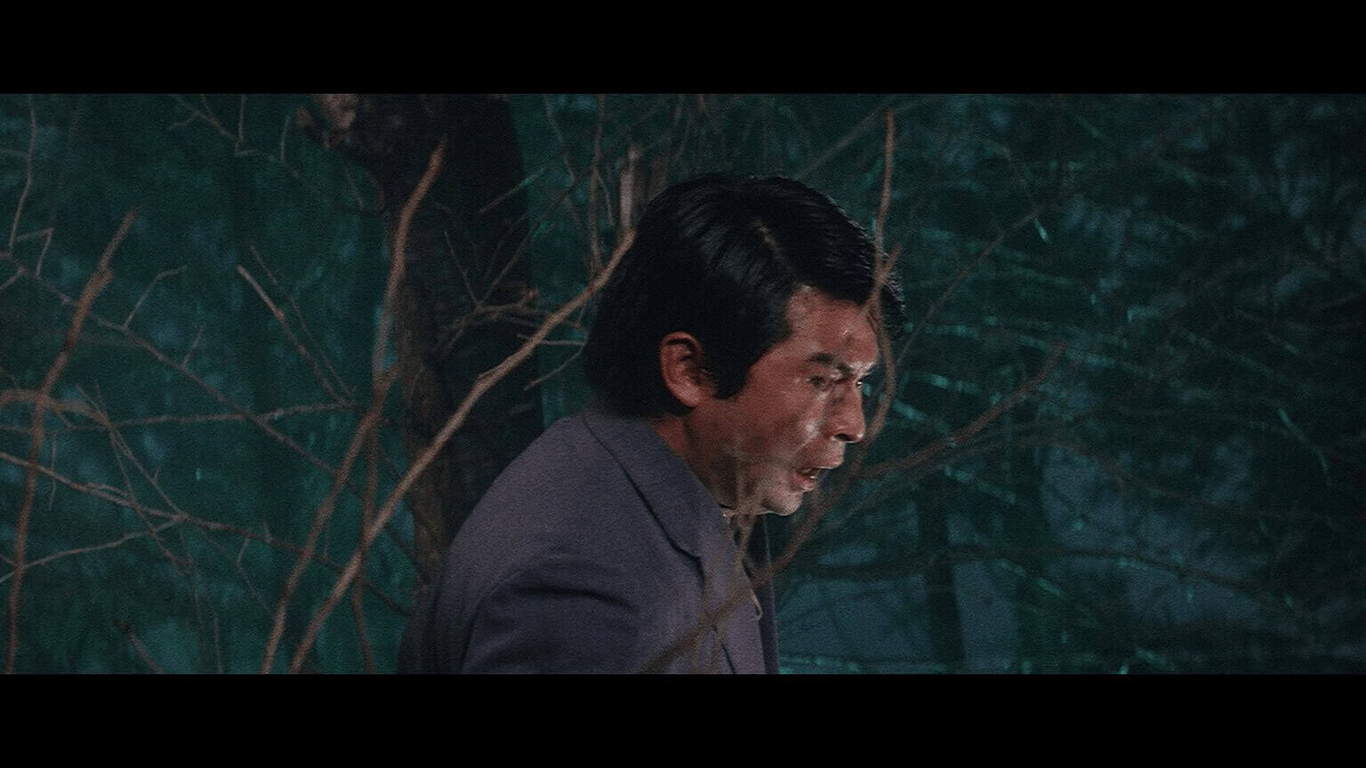 Gamera Vs Gyaos Gamera Collection Blu Ray Review Andersonvision