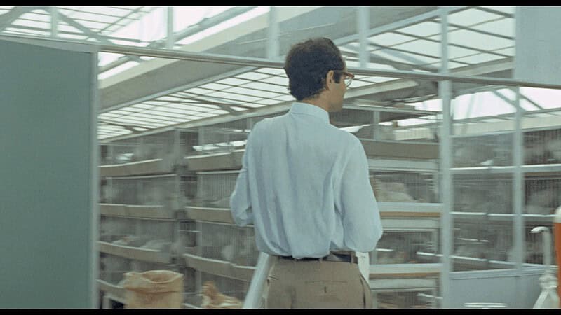 Death Laid An Egg (1968)