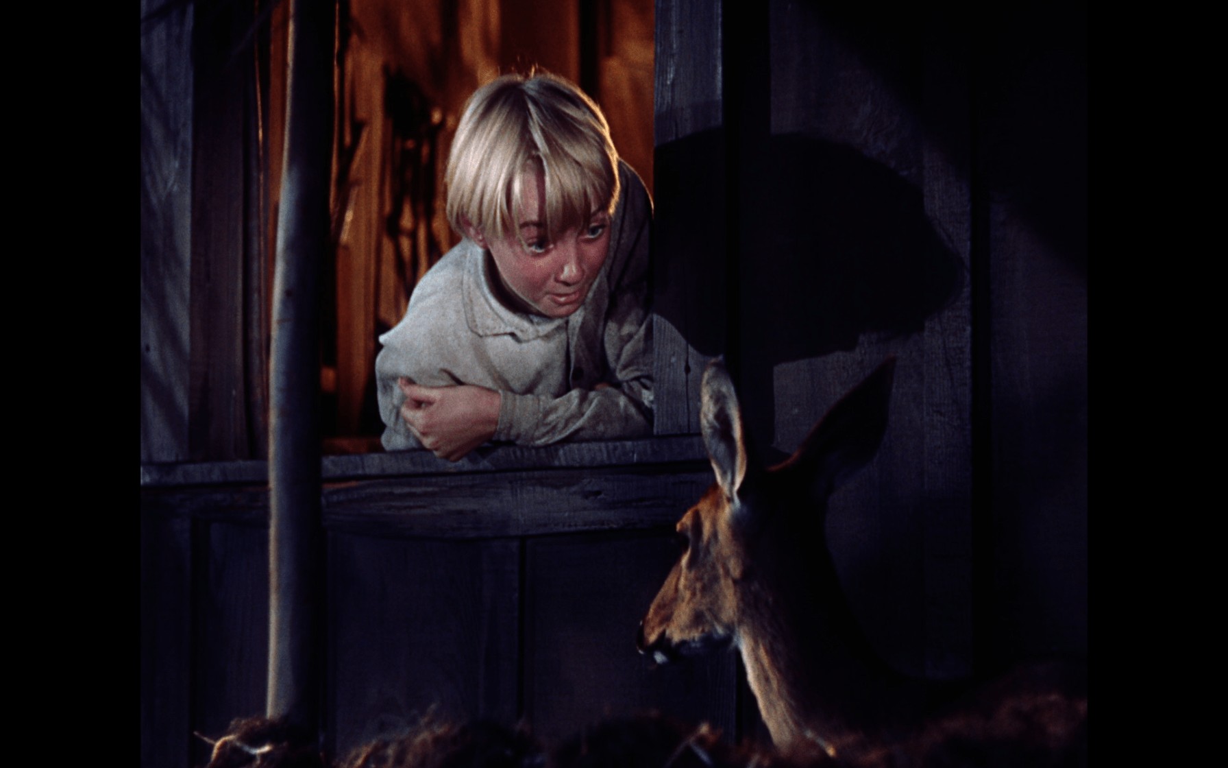 The Yearling (1946) makes deer dear to animal lovers | AndersonVision
