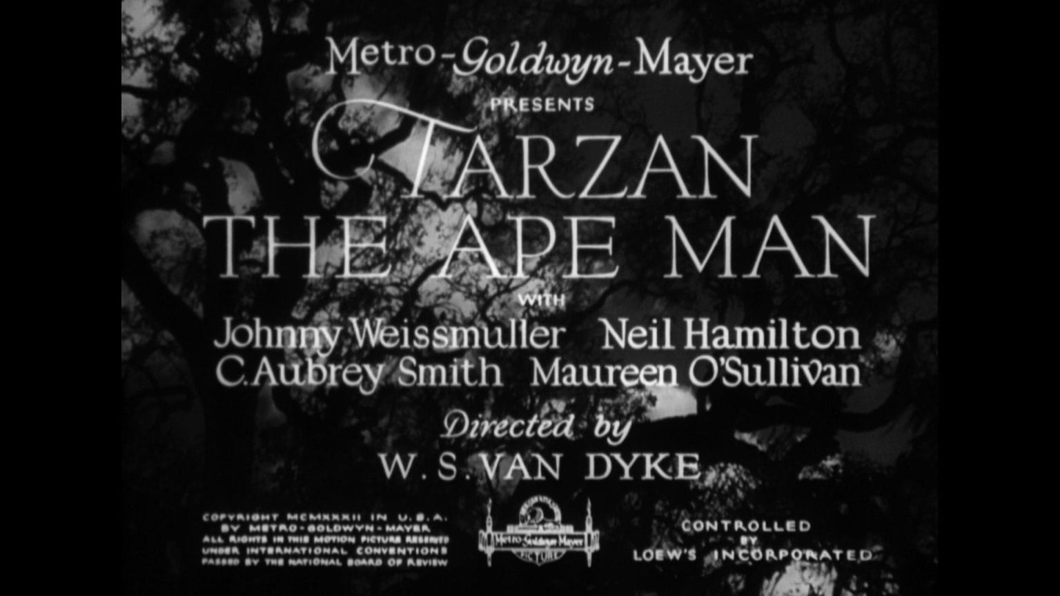 Tarzan, The Ape Man (1932) [Warner Archive Blu-ray review] | AndersonVision