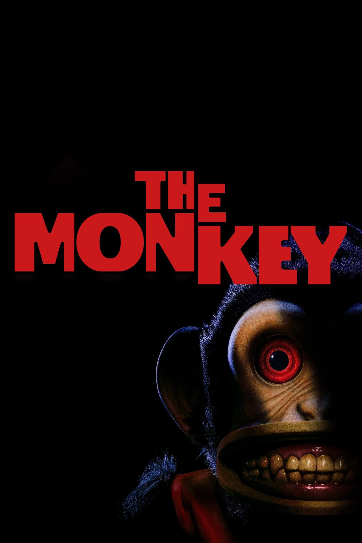 The Monkey | AndersonVision