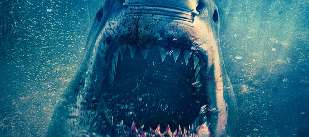 Fear Below Brings Shark-Filled Terror to Select Theaters, Digital, and ...