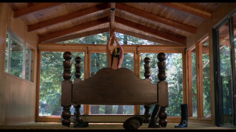 Up! (1976) [Severin Films Blu-ray review] | AndersonVision