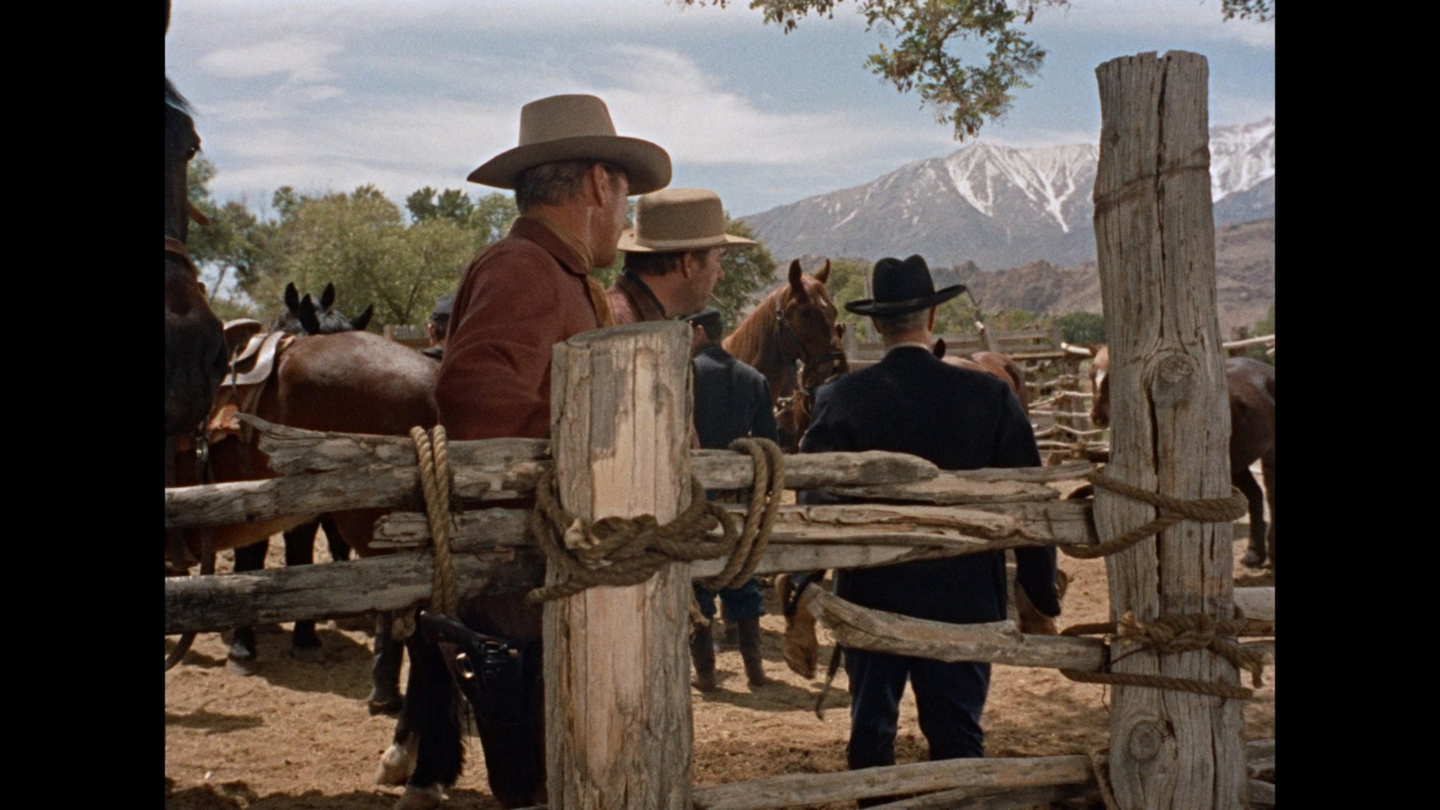 Springfield Rifle (1952) [Warner Archive Blu-ray Review] | AndersonVision