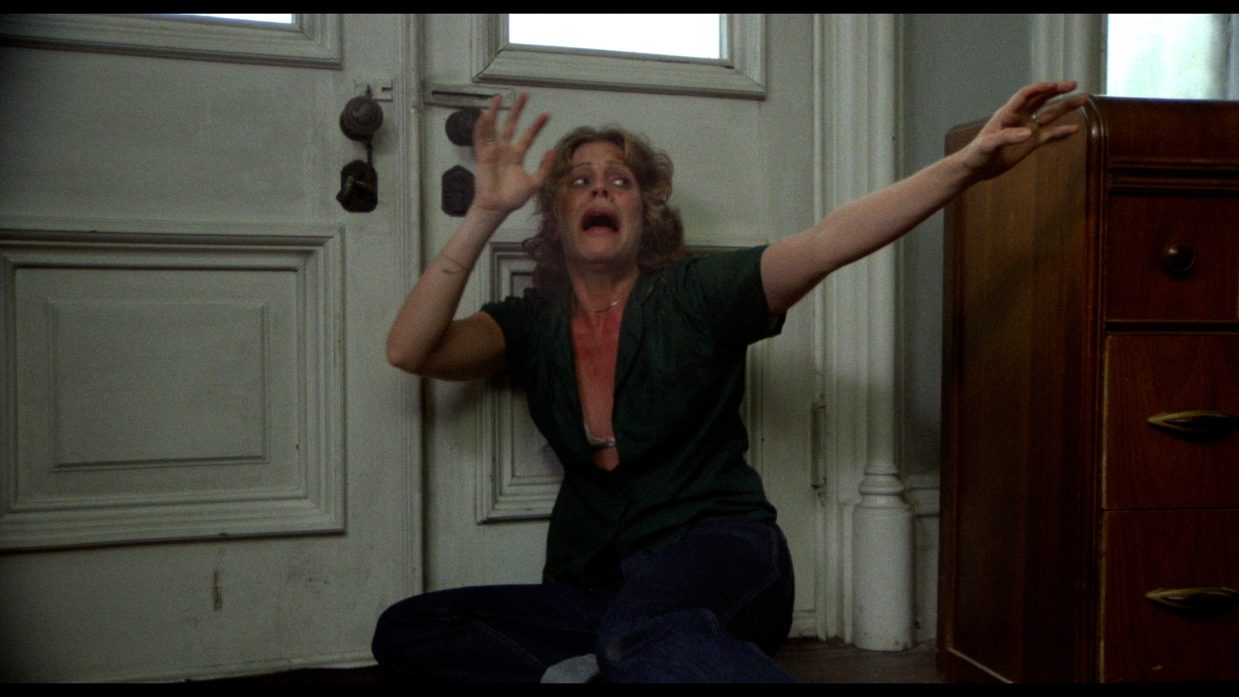 The Nesting (1981) [Vinegar Syndrome 4K UHD Review] | AndersonVision