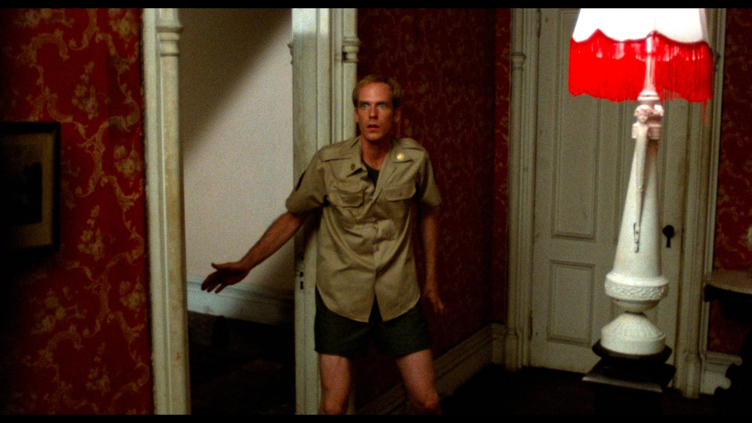 The Nesting (1981) [Vinegar Syndrome 4K UHD Review] | AndersonVision